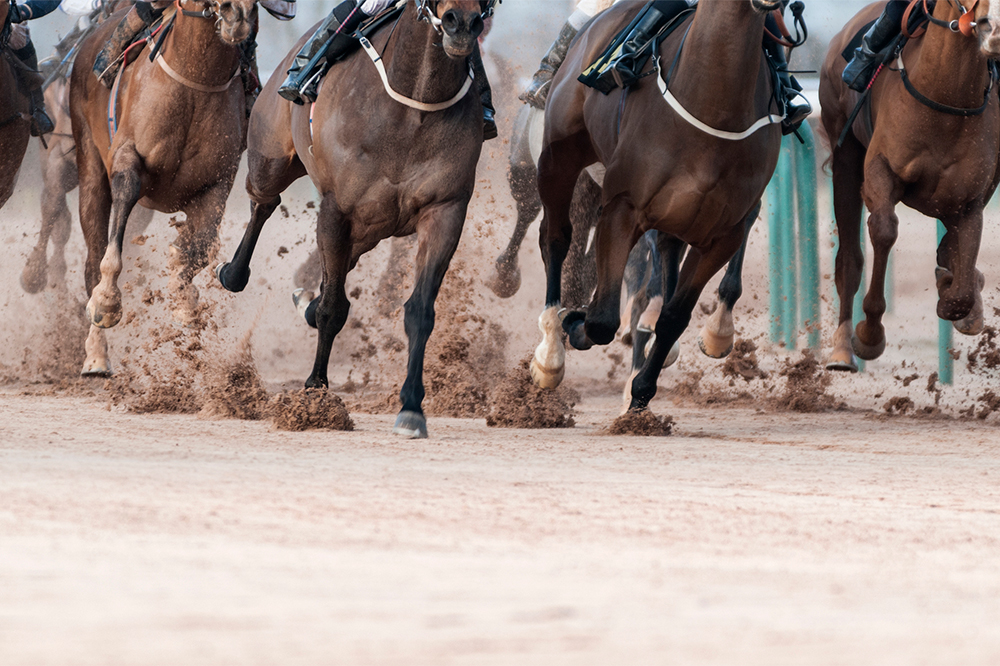 My top tips for the racing season | The Spectator Australia