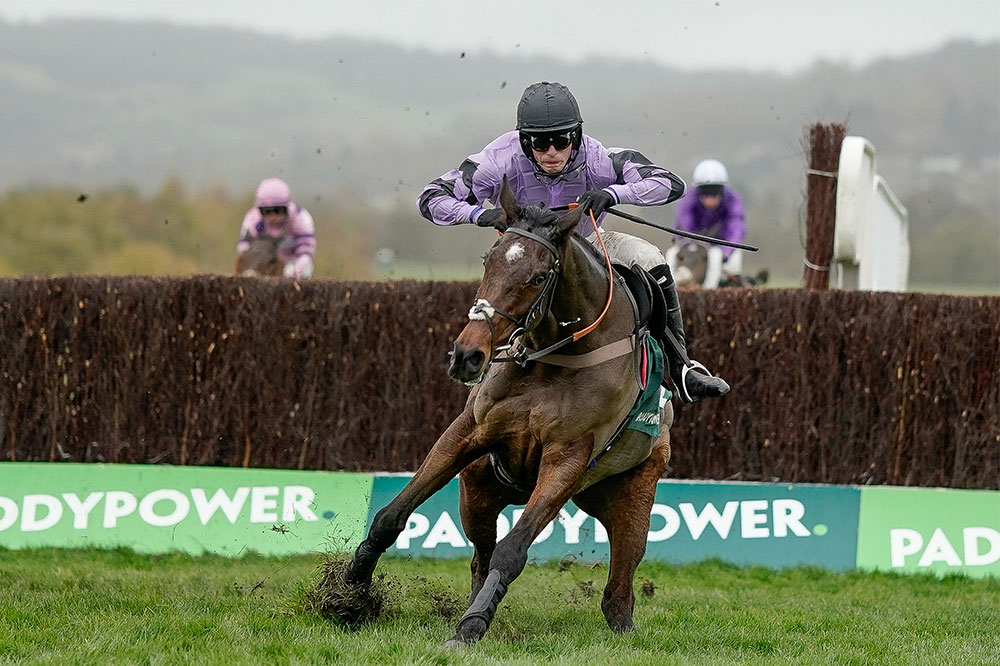 In praise of Harry Cobden | The Spectator Australia