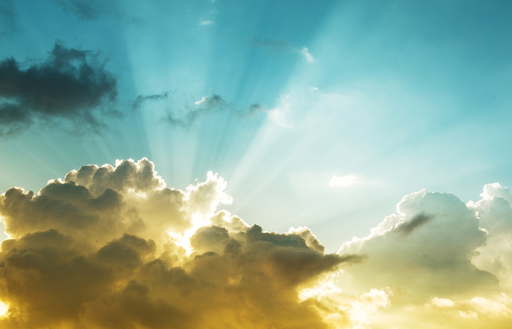 Dear Mary: how can my café compete with God? | The Spectator Australia