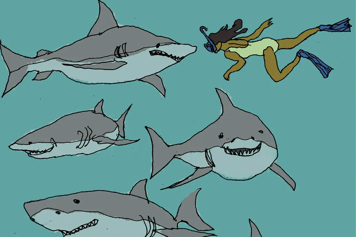 Swimming with sharks is nothing to be scared of | The Spectator Australia