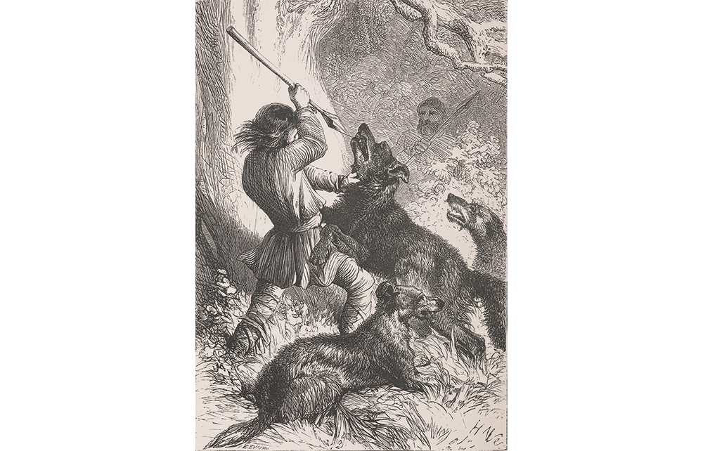 Do we really want to bring back the wolf? | The Spectator Australia