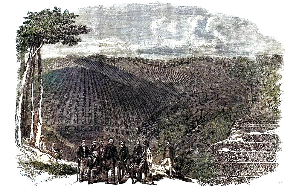 The complexities of our colonial legacy | The Spectator Australia