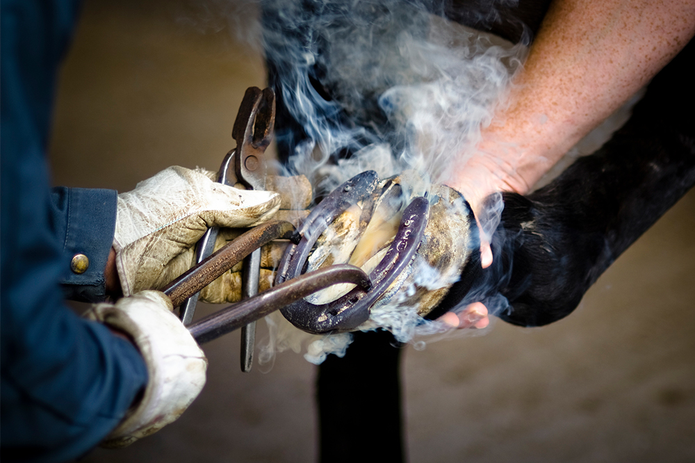 The wonder of an Irish blacksmith | The Spectator Australia