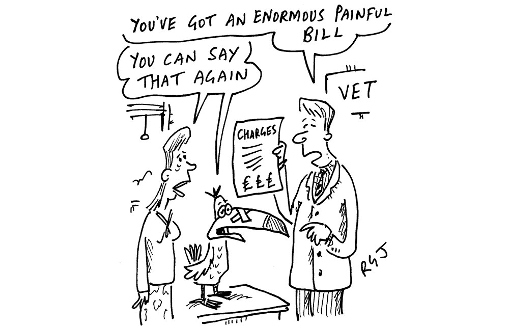 You can say that again | The Spectator Australia