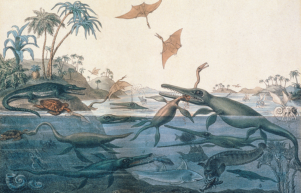 Dinosaurs, dogma and the Victorian mind | The Spectator Australia