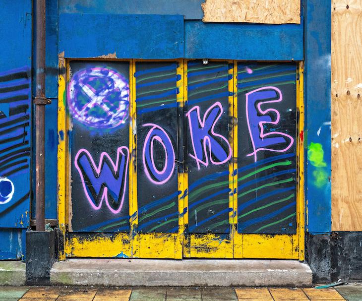 How the liberal-left can fight woke ideology | The Spectator Australia