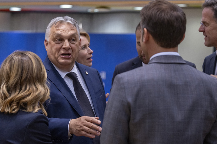 Wag the Two-Tailed Dog | The Spectator Australia