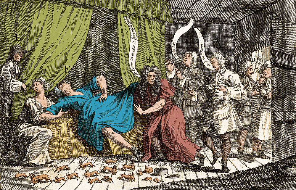 Making the fur fly: Mary and the Rabbit Dream, by Noémi Kiss-Deáki ...