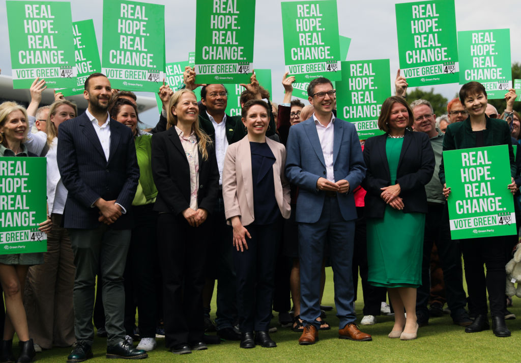 Green leader opposes green pylon plan | The Spectator Australia