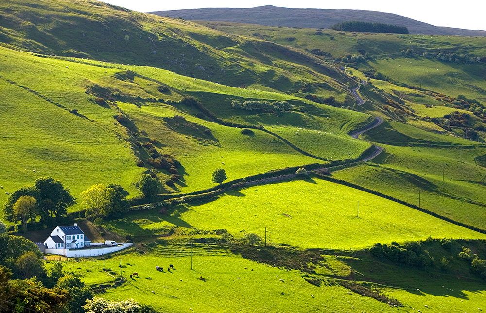 Author: Melissa Kite | The Spectator Australia