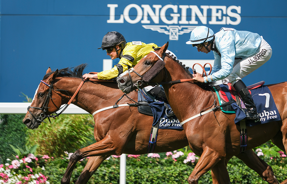 The fun of the Shergar Cup | The Spectator Australia