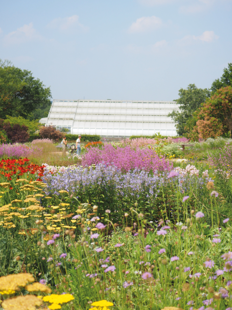 Immersive and spectacular: Piet Oudolf’s new borders at RHS Wisley ...