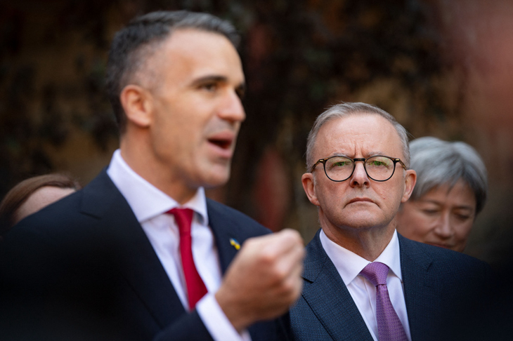 Author: Rebecca Weisser | The Spectator Australia