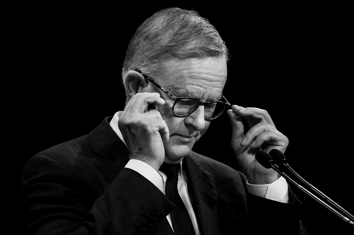 Tony Nikolic, Author at The Spectator Australia