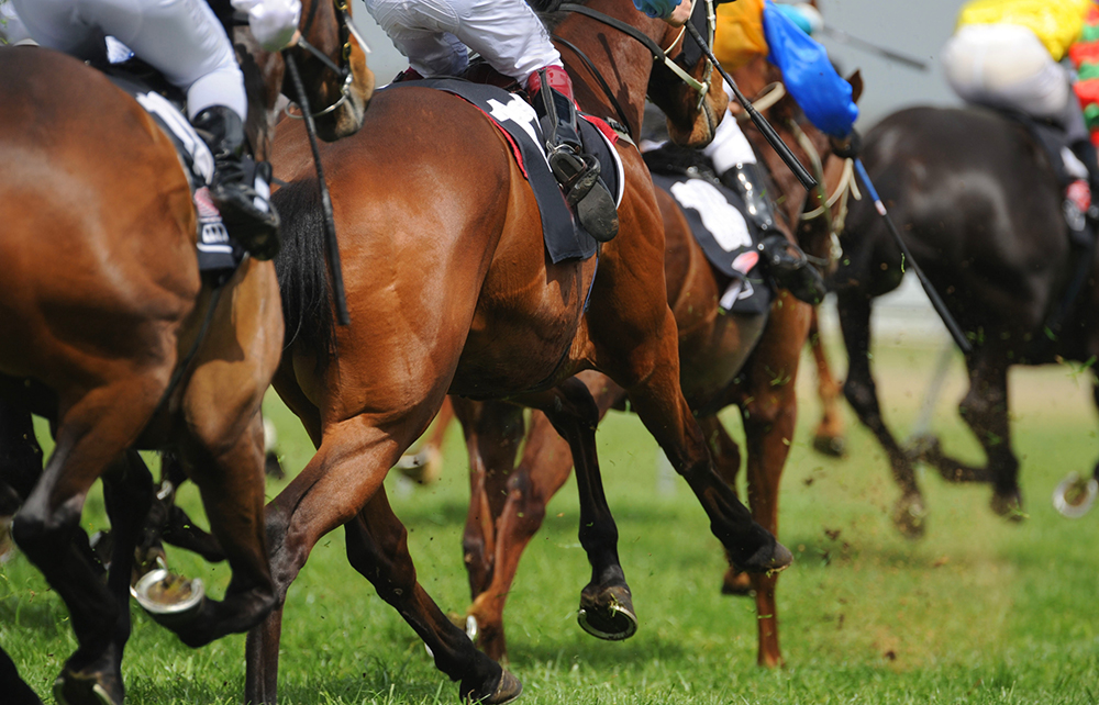 The inside track on racing syndicates | The Spectator Australia