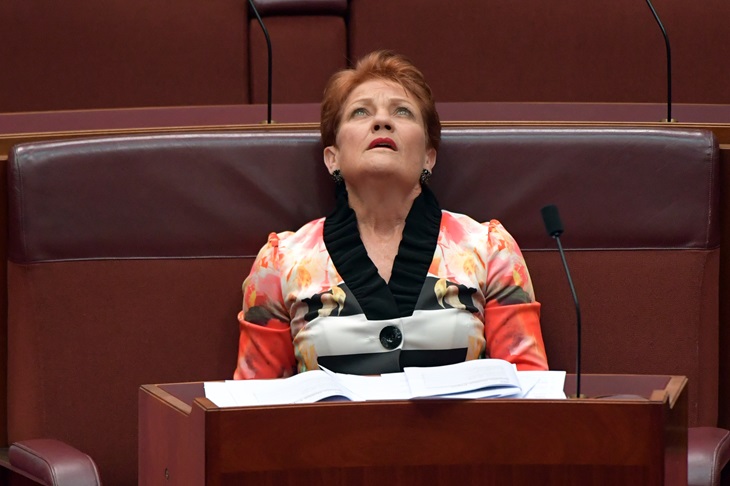 Pauline Hanson proves we have a two-tier senate | The Spectator Australia
