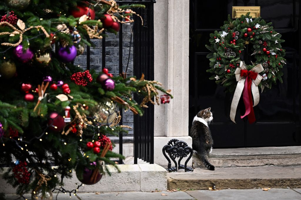 Plans afoot for Scotland Office cat | The Spectator Australia
