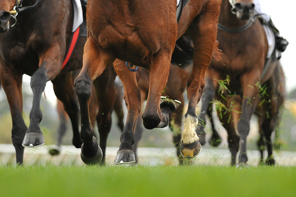 The strange superstitions of the racing world | The Spectator Australia