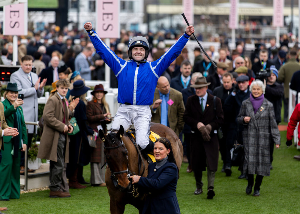 My highlights from the Cheltenham Festival | The Spectator Australia