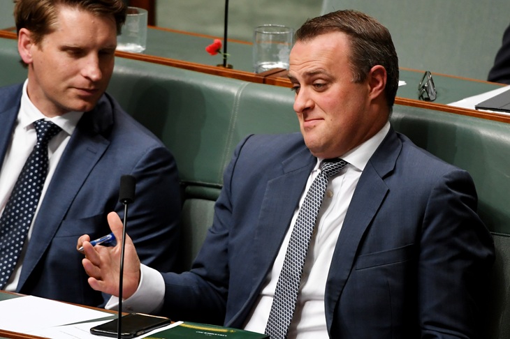 Save the last dance: Tim Wilson defeats Zoe Daniel | The Spectator ...