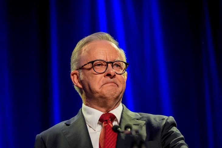 Albo is officially on the ropes after knocking himself out | The ...