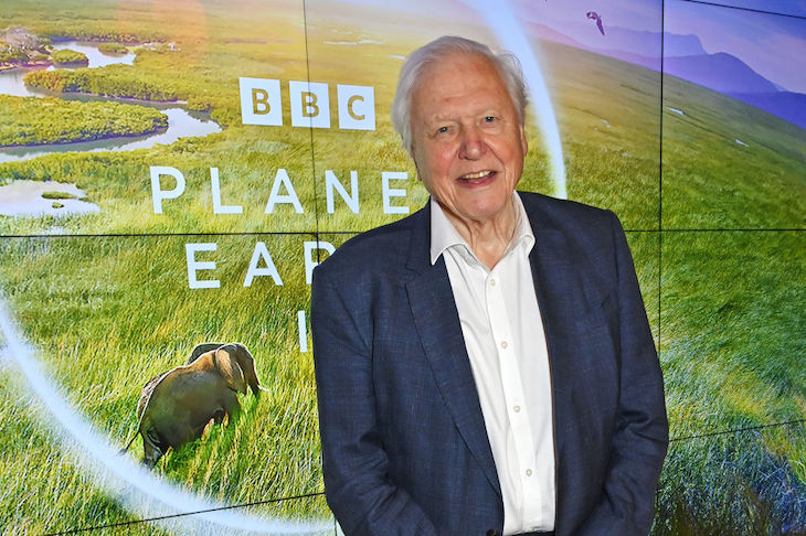 Long live David Attenborough | The Spectator Australia