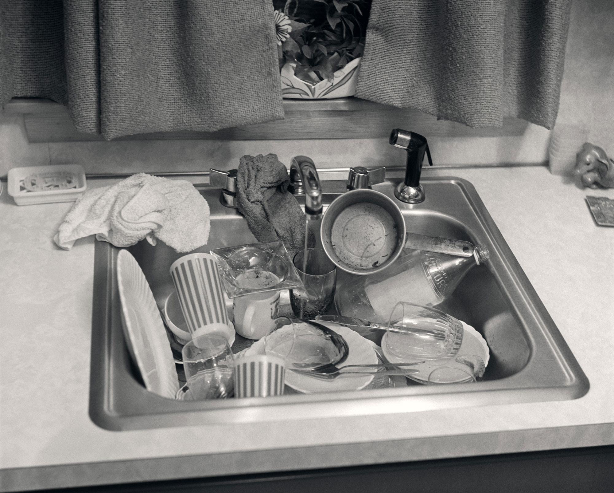 I’ve lost control of the kitchen | The Spectator Australia