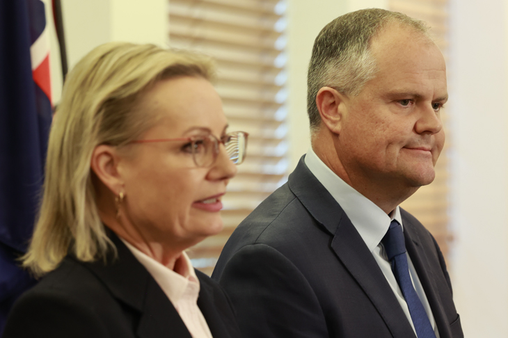 Brown study | The Spectator Australia