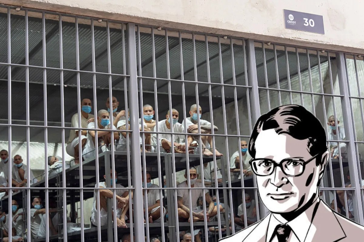 J.D. Vance: deport Derek Guy | The Spectator Australia