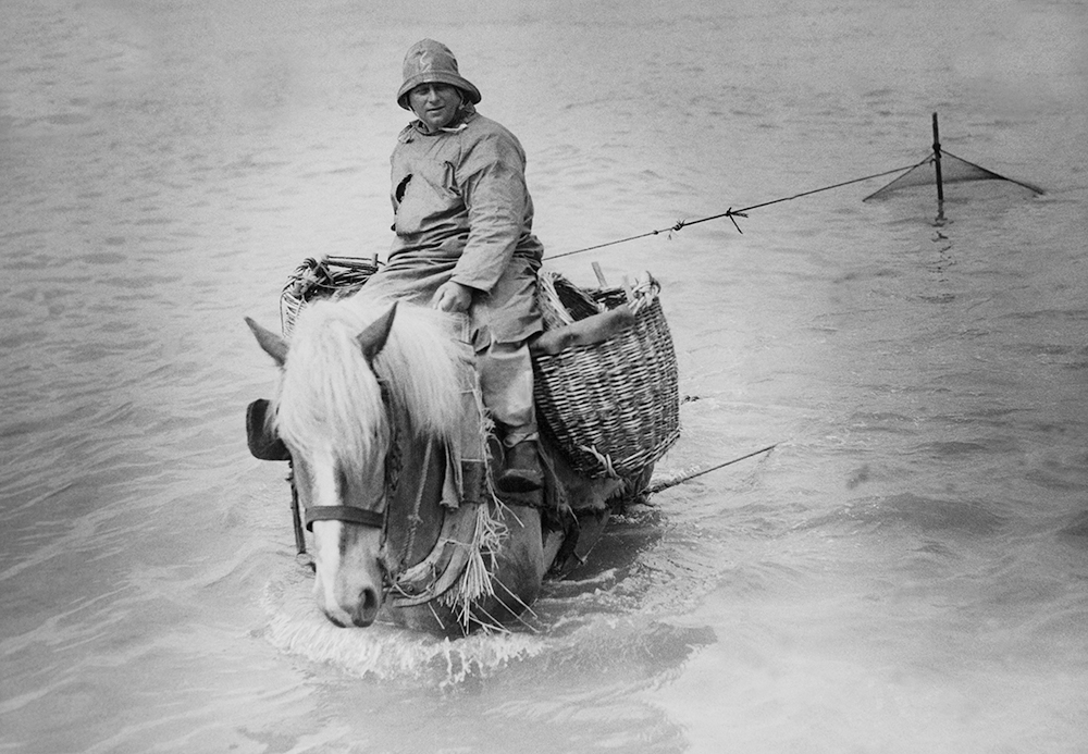 A meeting of misfits: Seascraper, by Benjamin Wood, reviewed | The ...