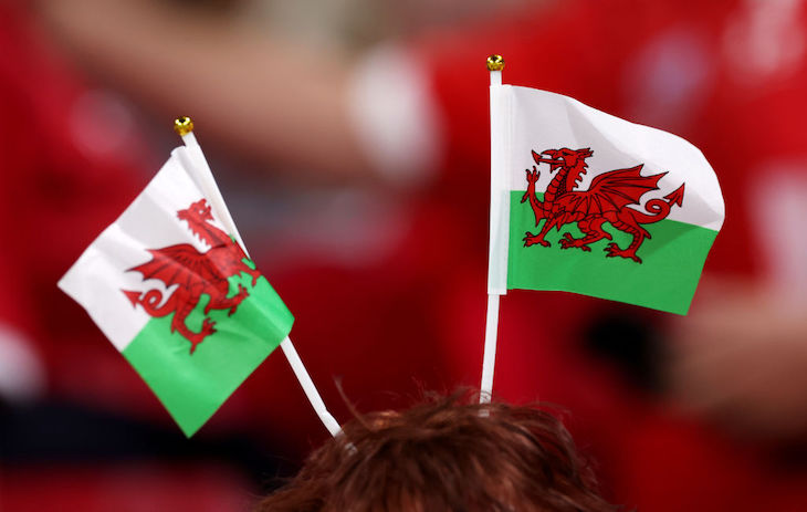 The slow death of Welsh rugby | The Spectator Australia
