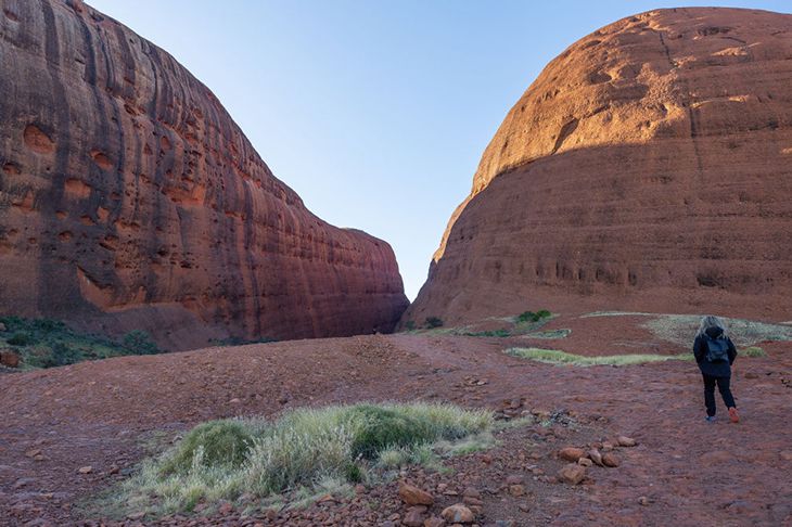 Aussie life | The Spectator Australia