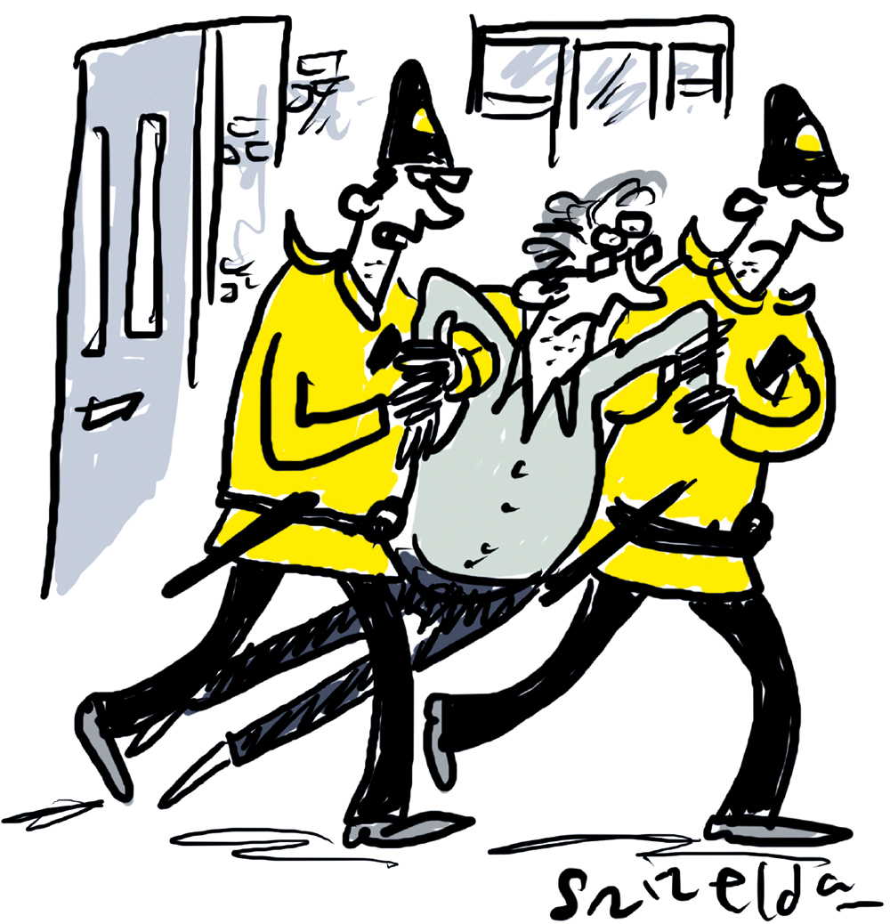 Misconstrued satire | The Spectator Australia