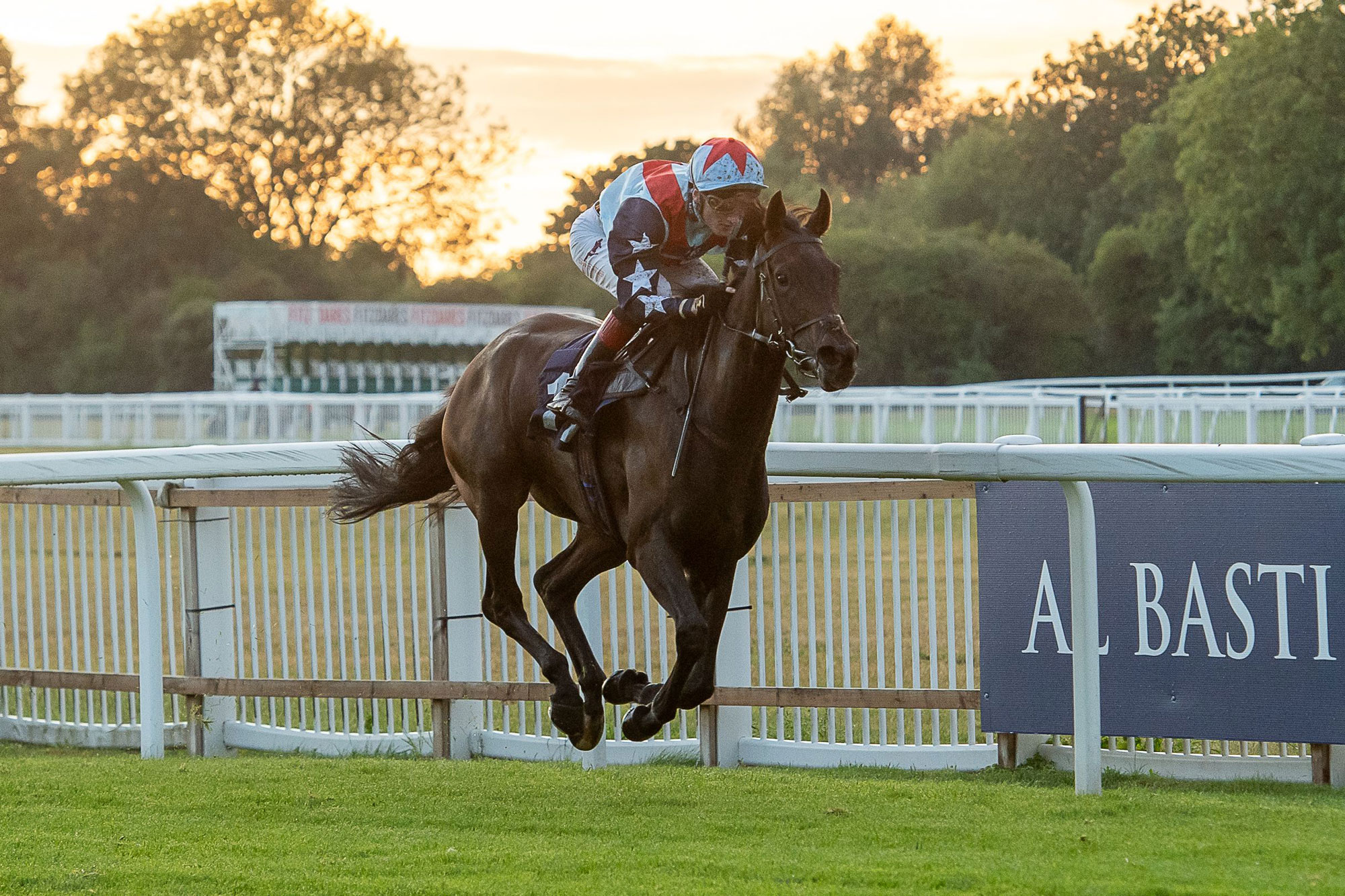 How John Egan has stayed in the saddle | The Spectator Australia