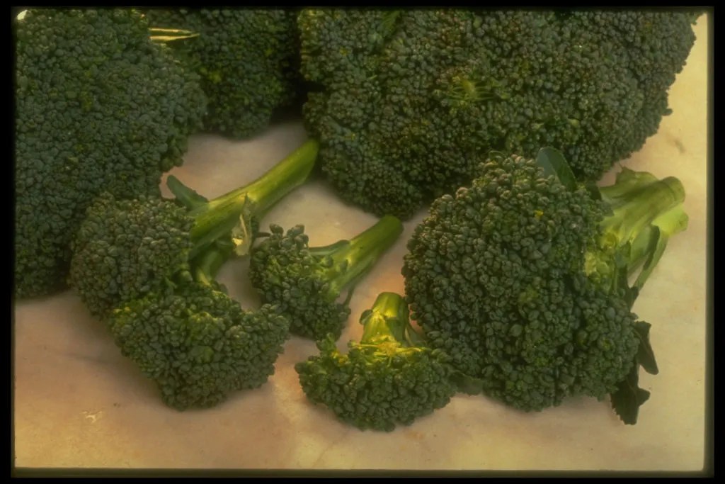 My quest for the perfect Christmas broccoli | The Spectator Australia