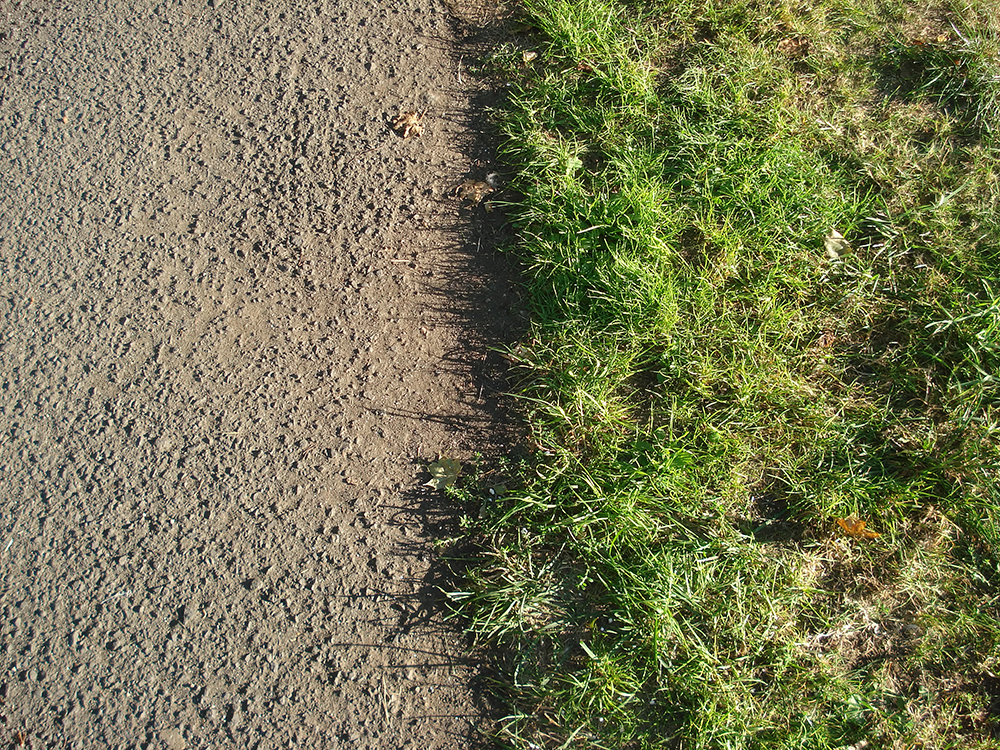 The war over my grass verges | The Spectator Australia