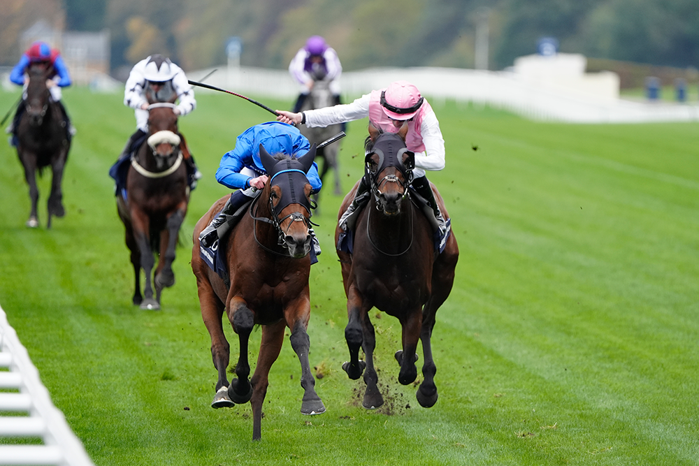 My most profitable day on a racecourse ever | The Spectator Australia