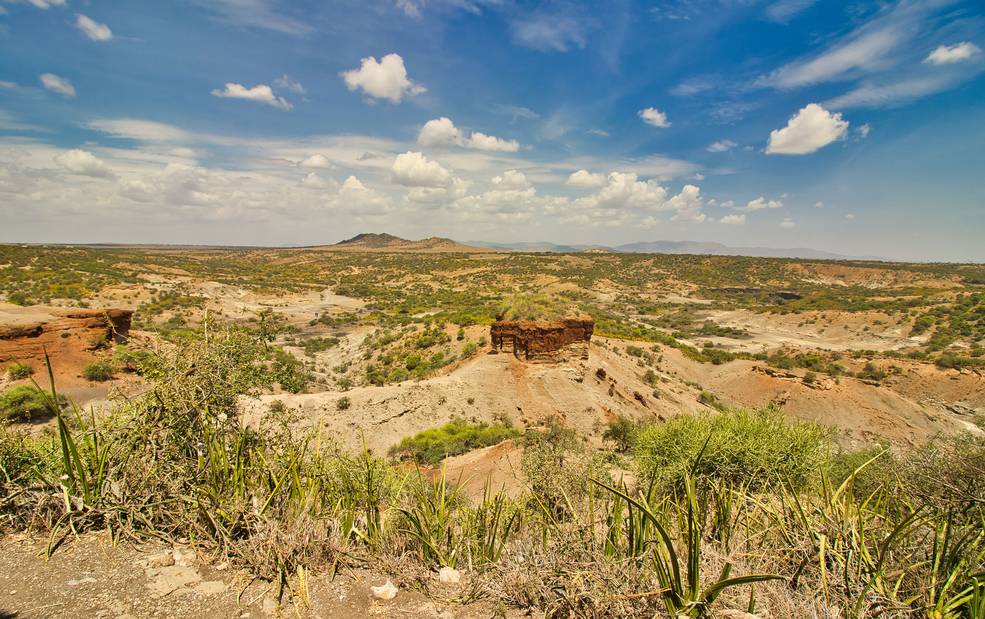 The search for a Kenyan Stonehenge | The Spectator Australia