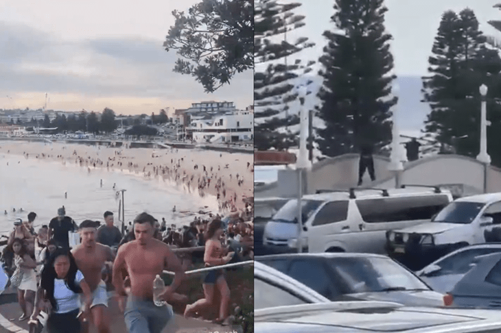 Rowan Dean, Author at The Spectator Australia