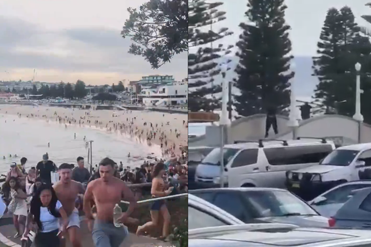 Rowan Dean, Author at The Spectator Australia