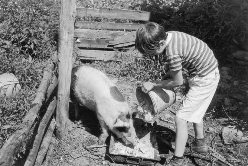 Language | The Spectator Australia