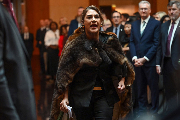 Surge of The Purge | The Spectator Australia