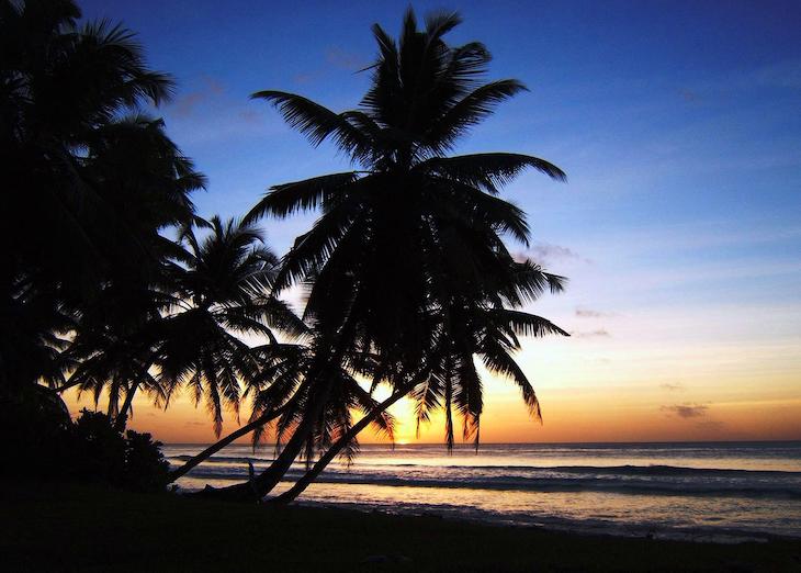 Andrew Rule, Author at The Spectator Australia