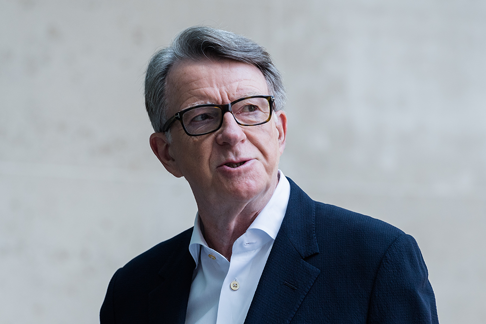 Why did Peter Mandelson want Jeffrey Epstein to read my column? | The ...