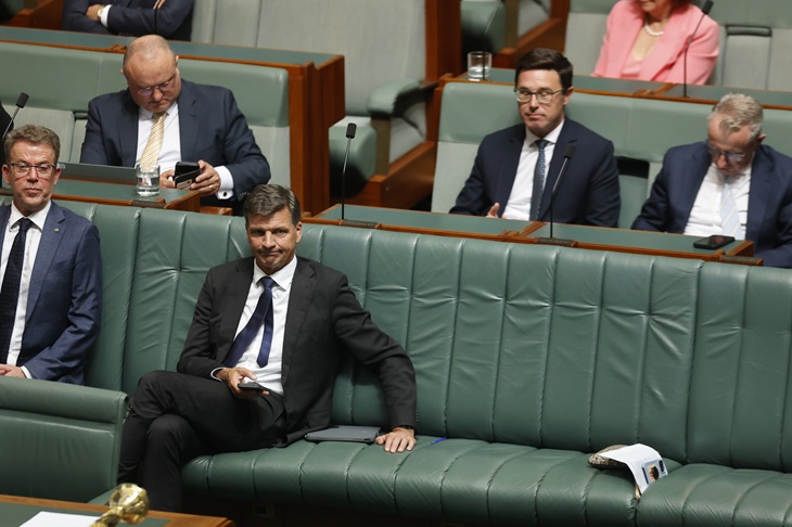 Angus Taylor: the last king? | The Spectator Australia