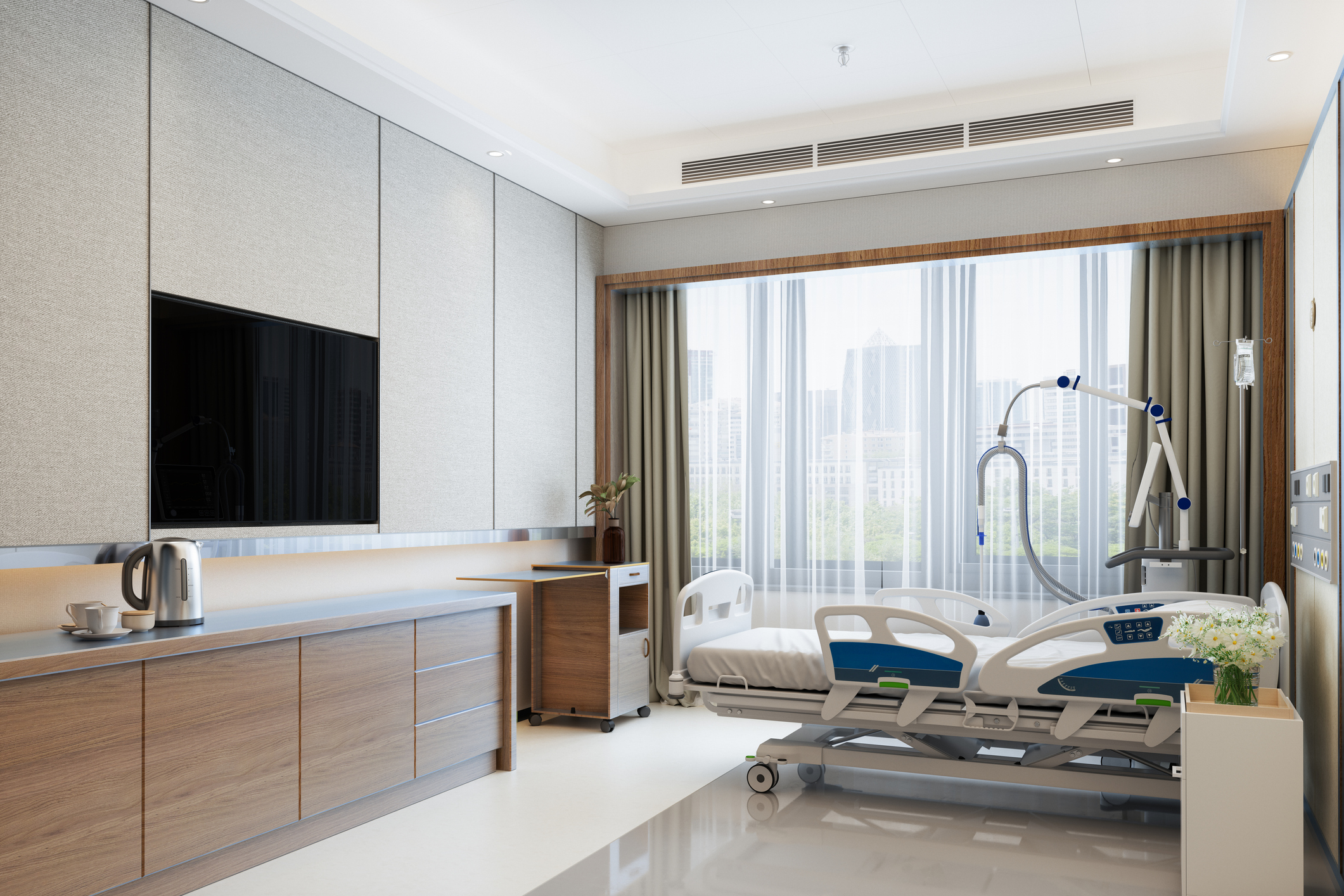 Nothing beats a posh hospital room | The Spectator Australia