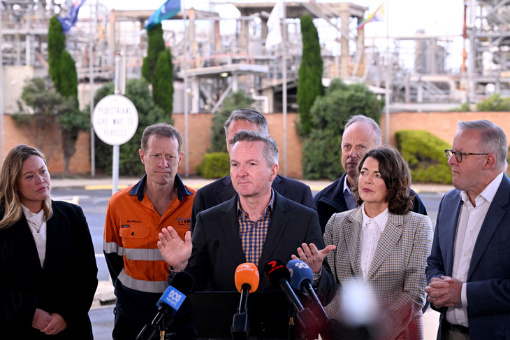 The Dumbing | The Spectator Australia